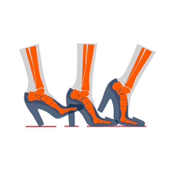 Foot Anatomy, Biomechanics and the High Heel – Sky Soles AU